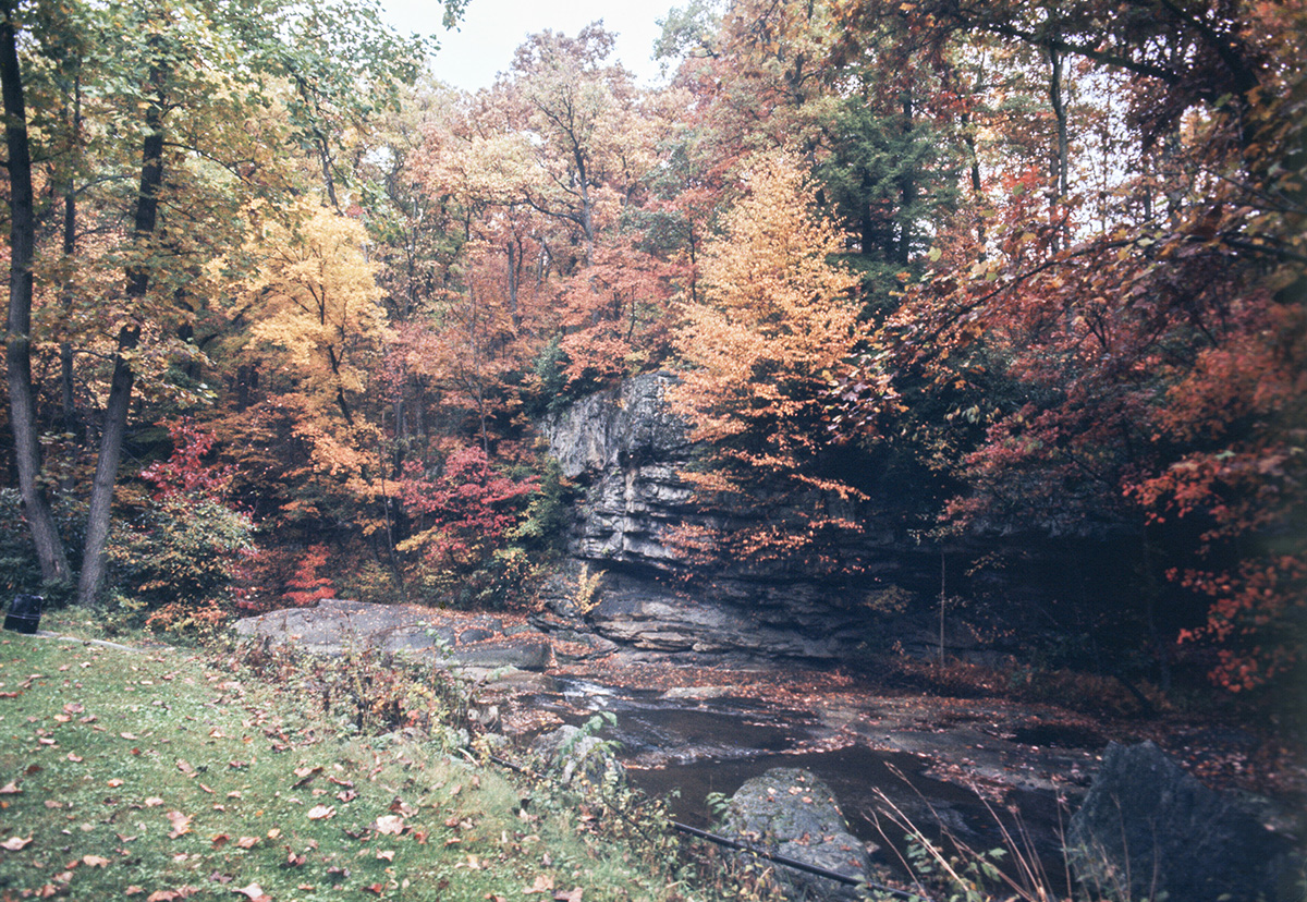 Fallingwater Area, Mill Run, PA – ArchiDocu