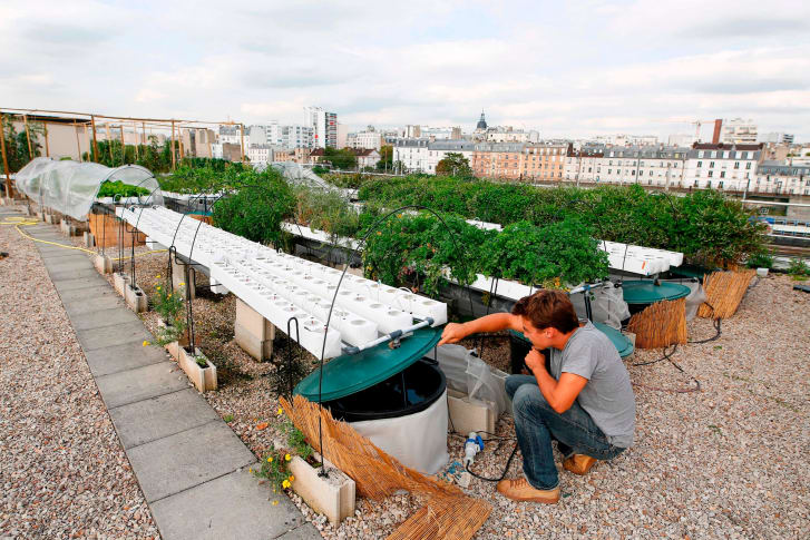 Urban Farming in Paris – ArchiDocu