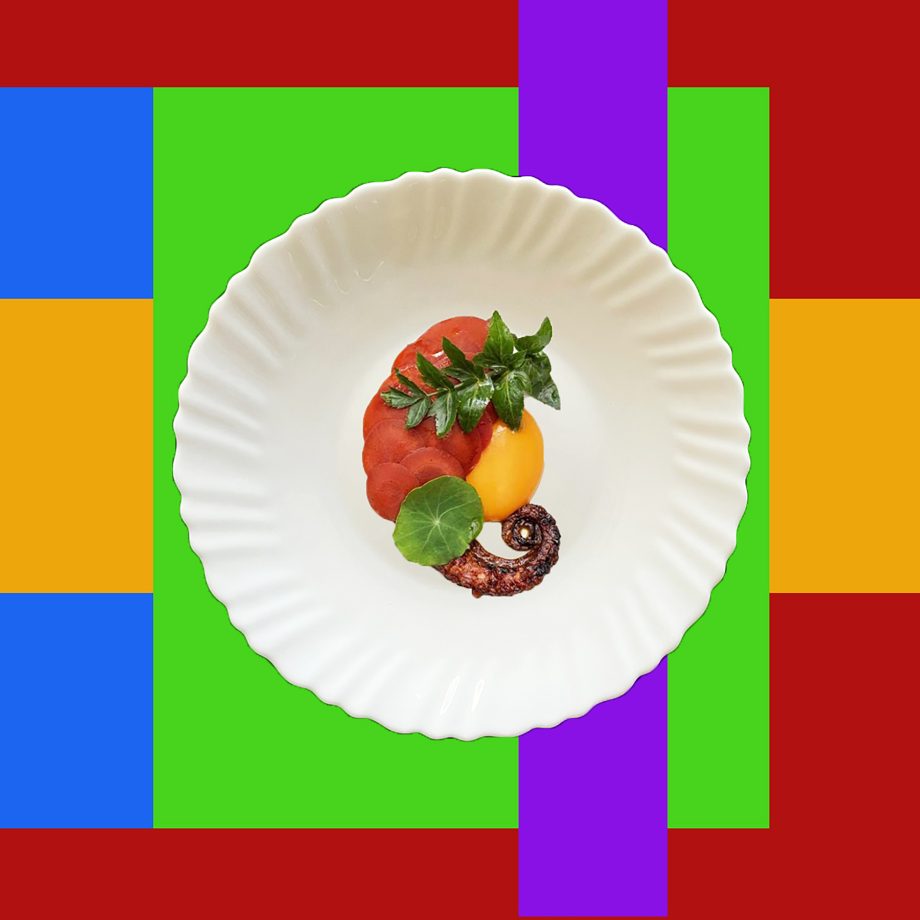 Octopus – ArchiDocu