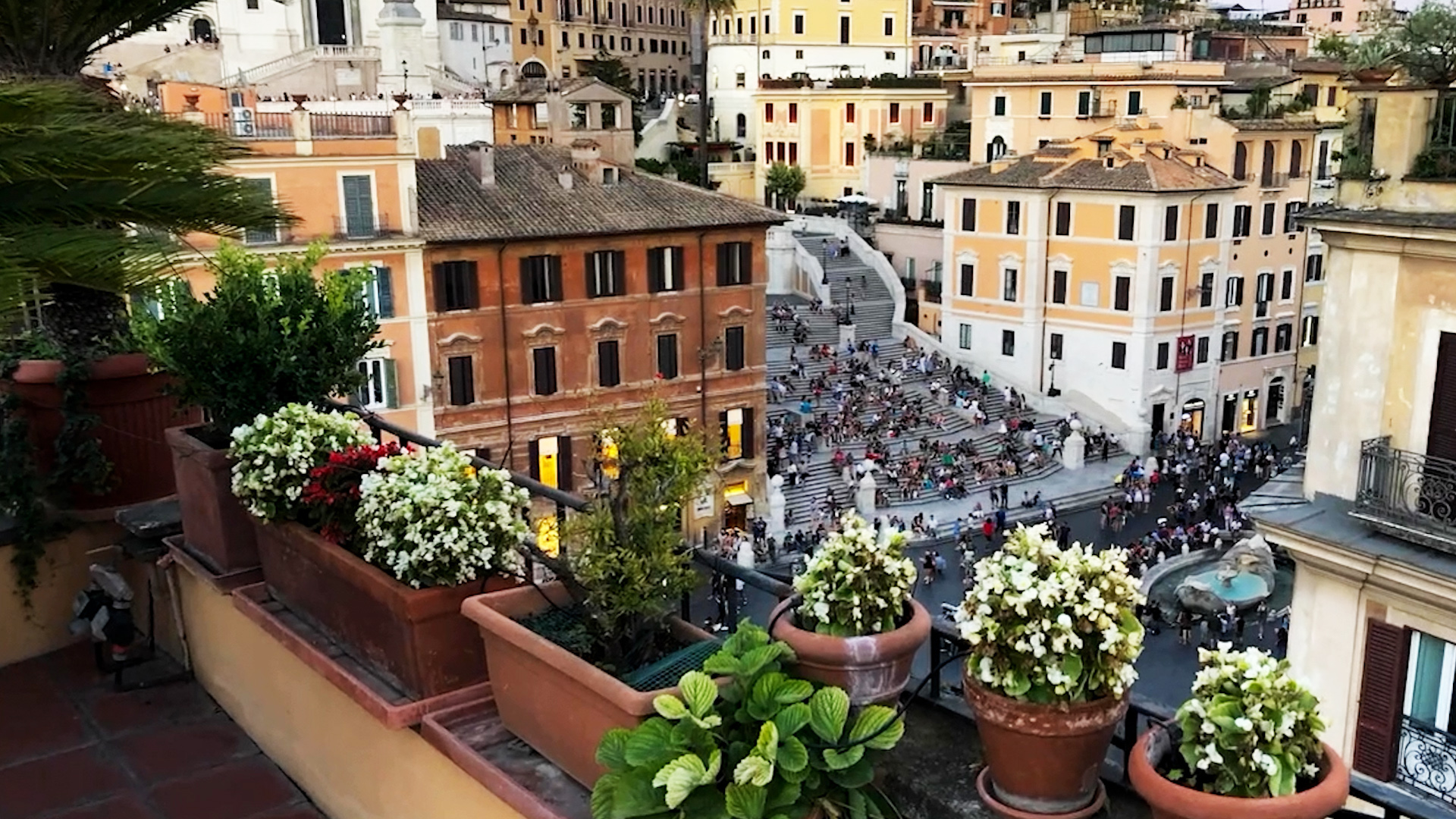 ZEVI – Our Story – ArchiDocu